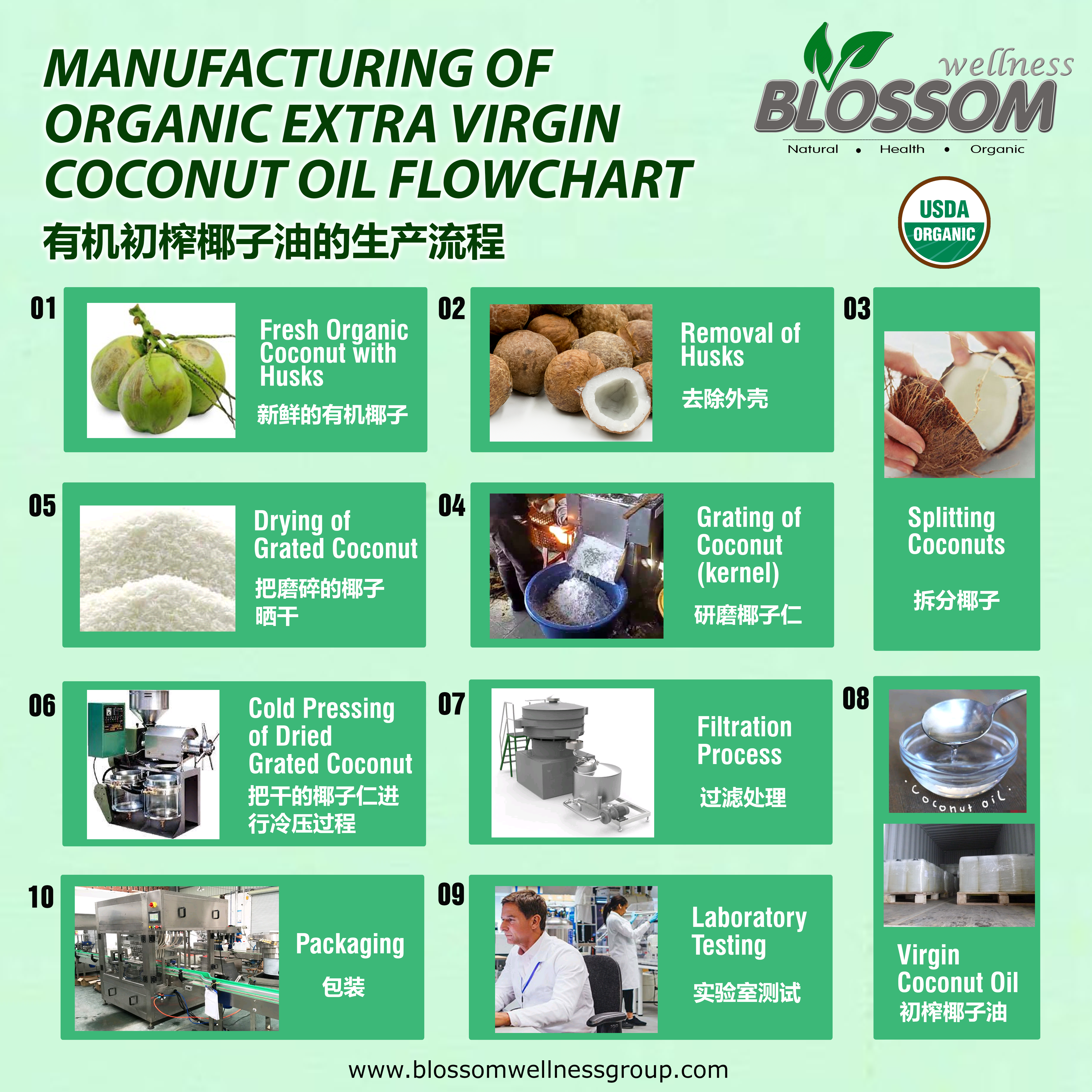 Organic Extra Virgin Coconut Oil – Blossom Wellness Trading